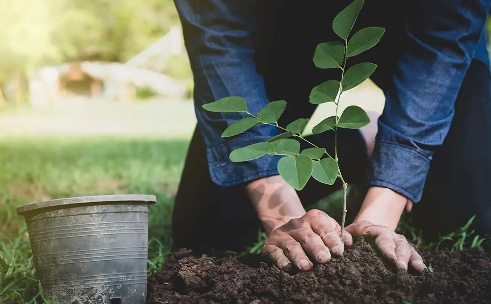 Sustainable perks and benefits from top brands - GreenPerks